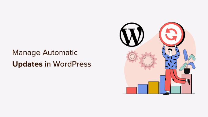 How to Better Manage Automatic WordPress Updates : Mostafizur Rahman